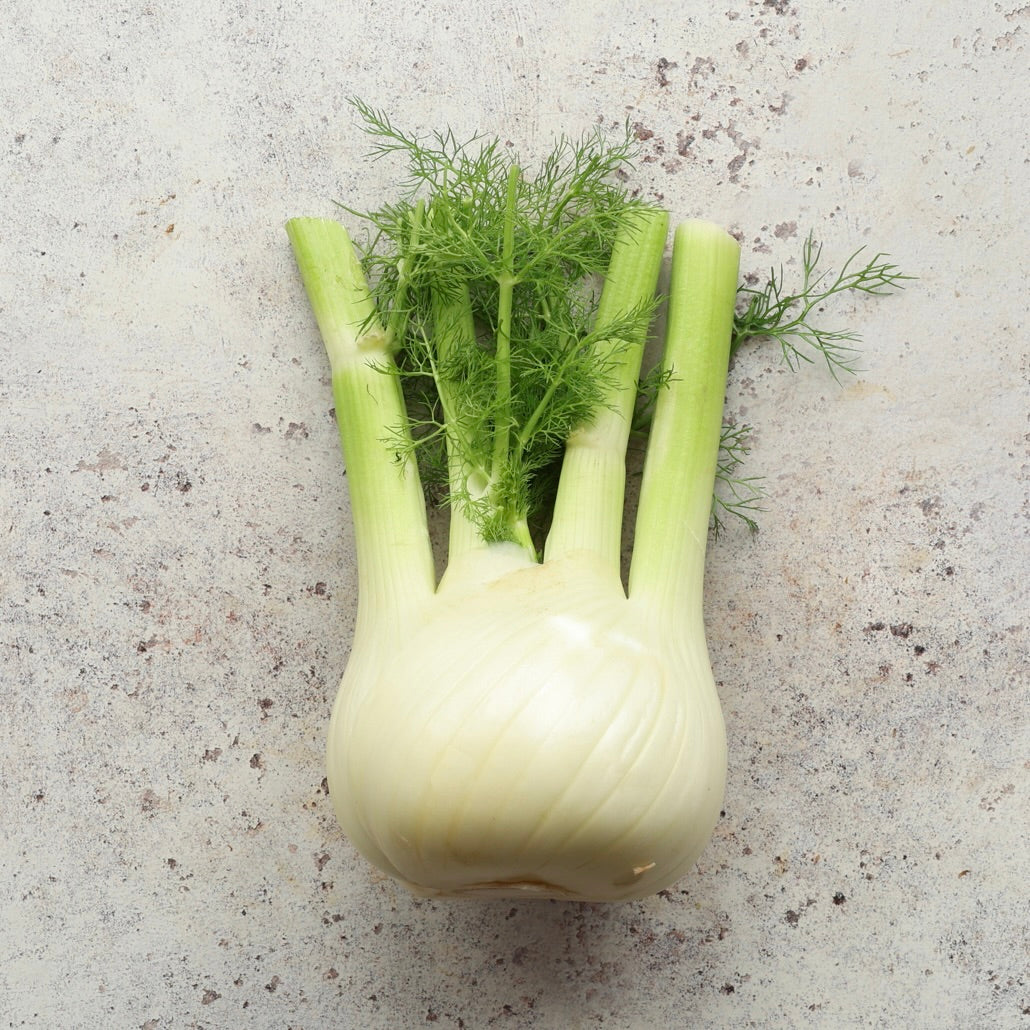 Italian Fennel Bulbs | Premium Fennel Bulb | FINE & WILD UK
