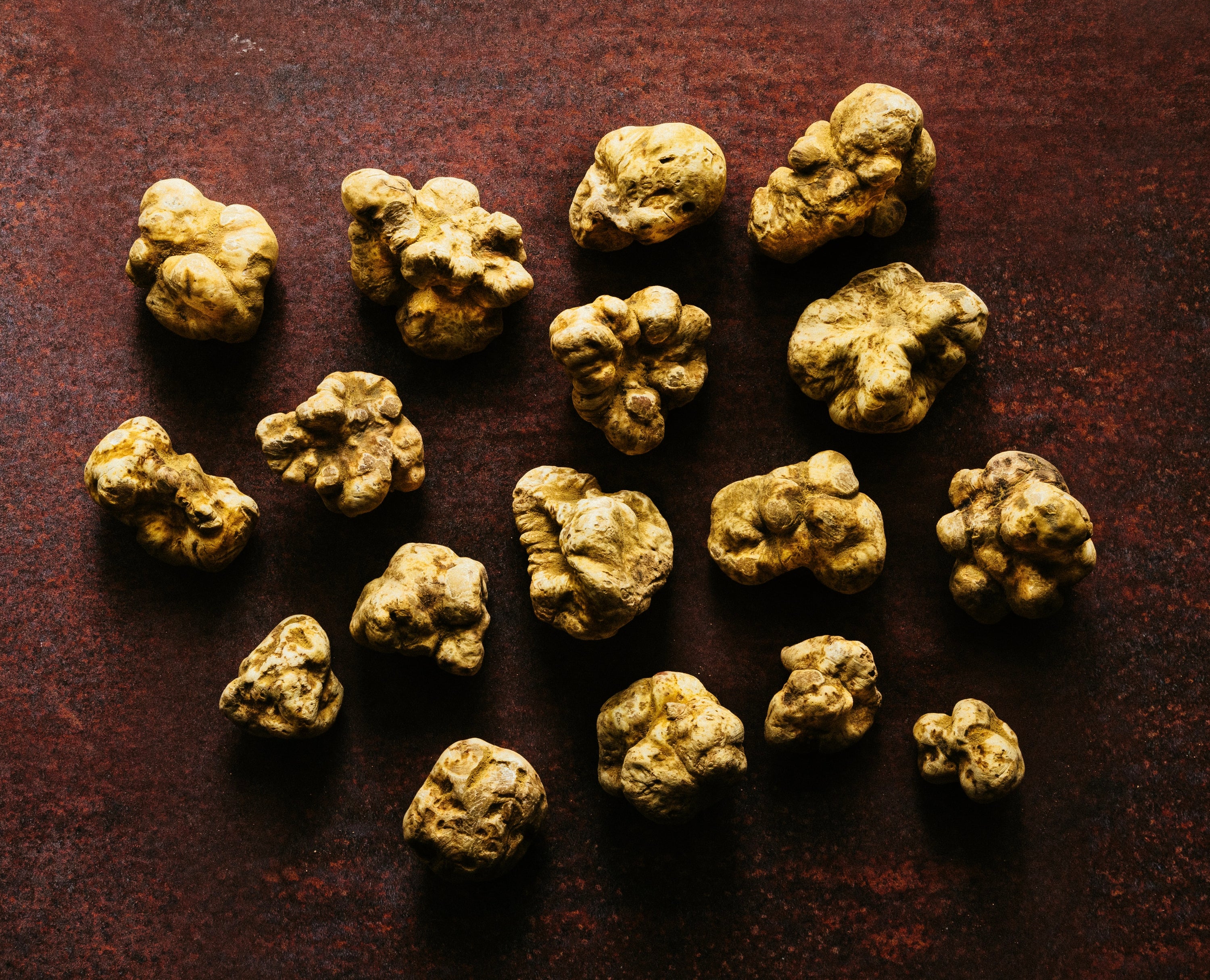 Fresh Truffles, Japanese Wagyu & Luxury Ingredients UK | FINE & WILD