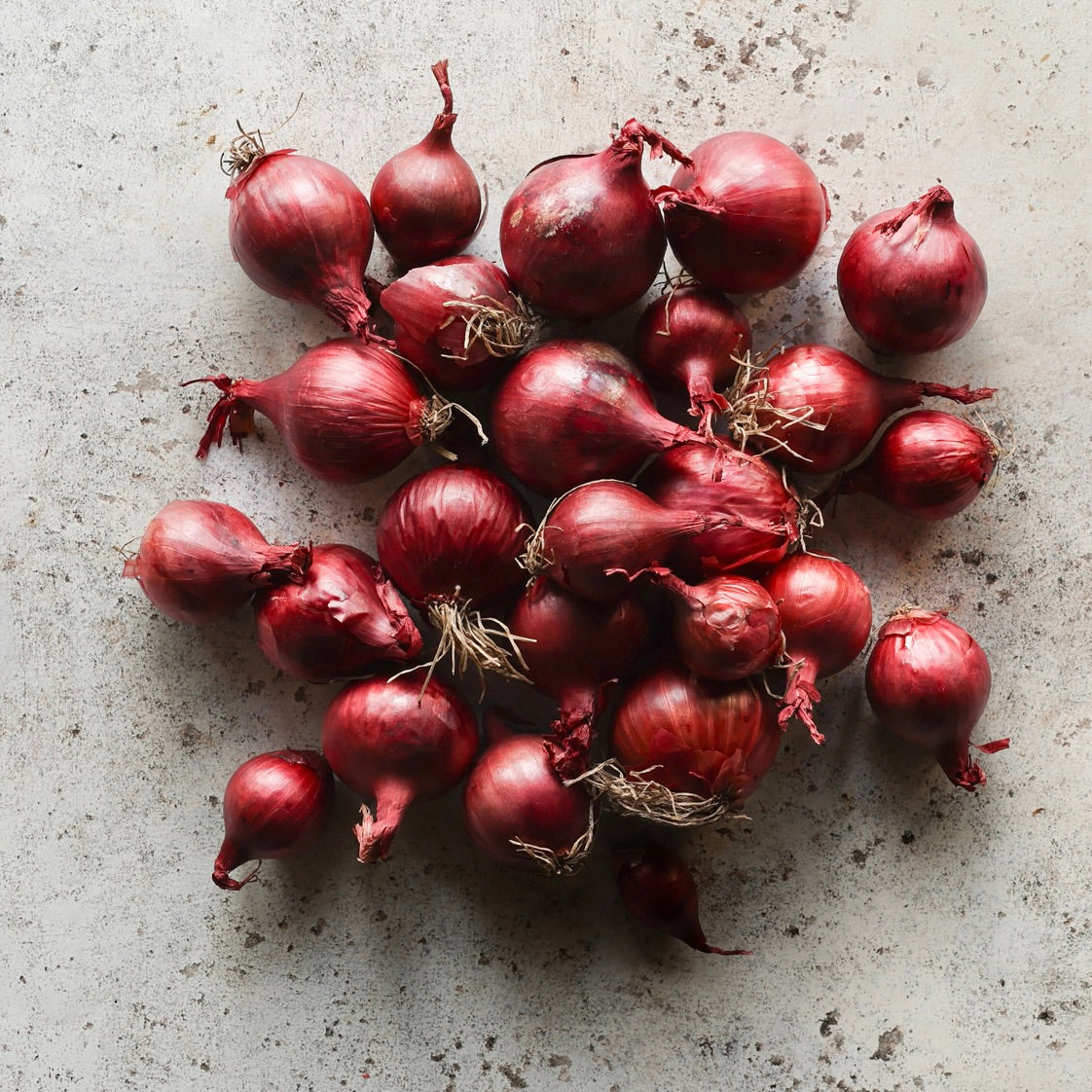 Baby Red Onions | French Pearl Onions | FINE & WILD UK