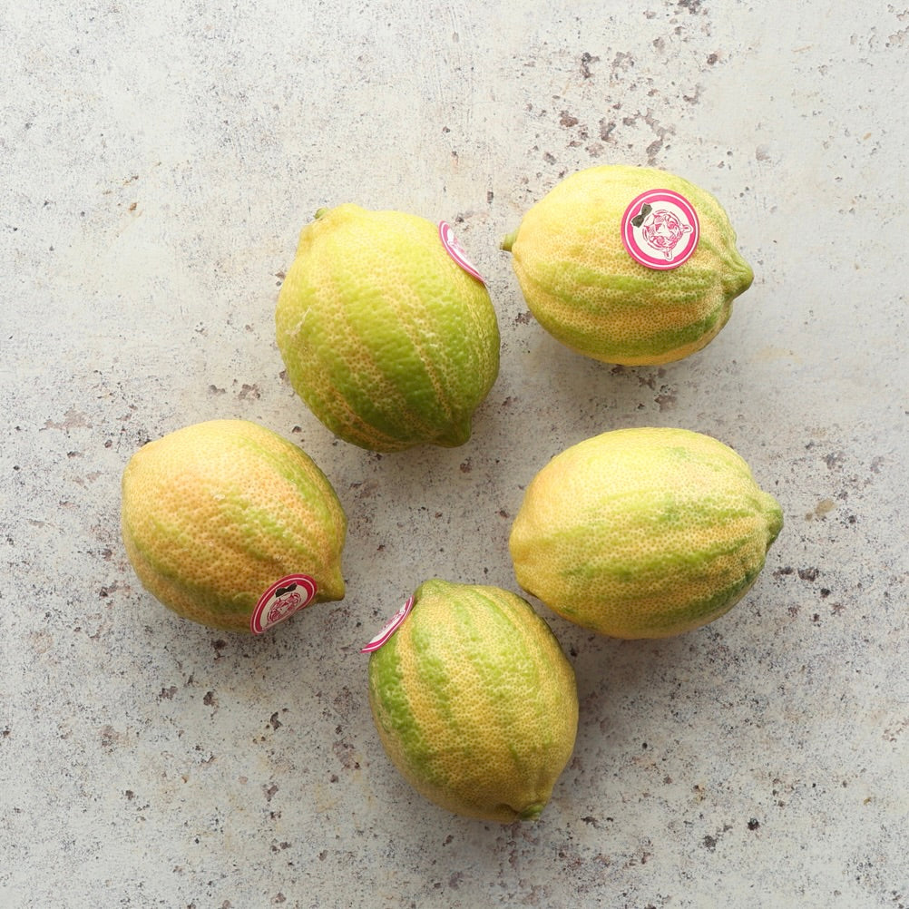 Tiger Lemons 500g | Rare Variegated Pink Citrus | FINE & WILD UK