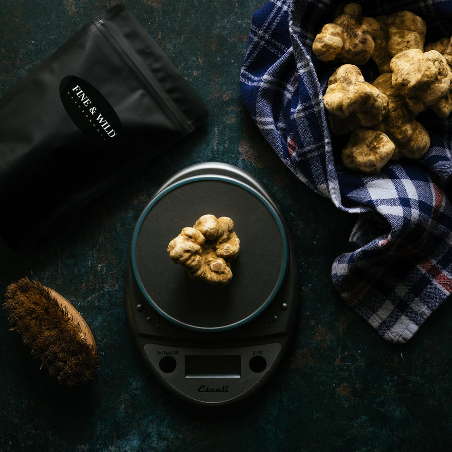 Fresh Autumn / Summer Truffles | Italian Truffles | FINE & WILD UK