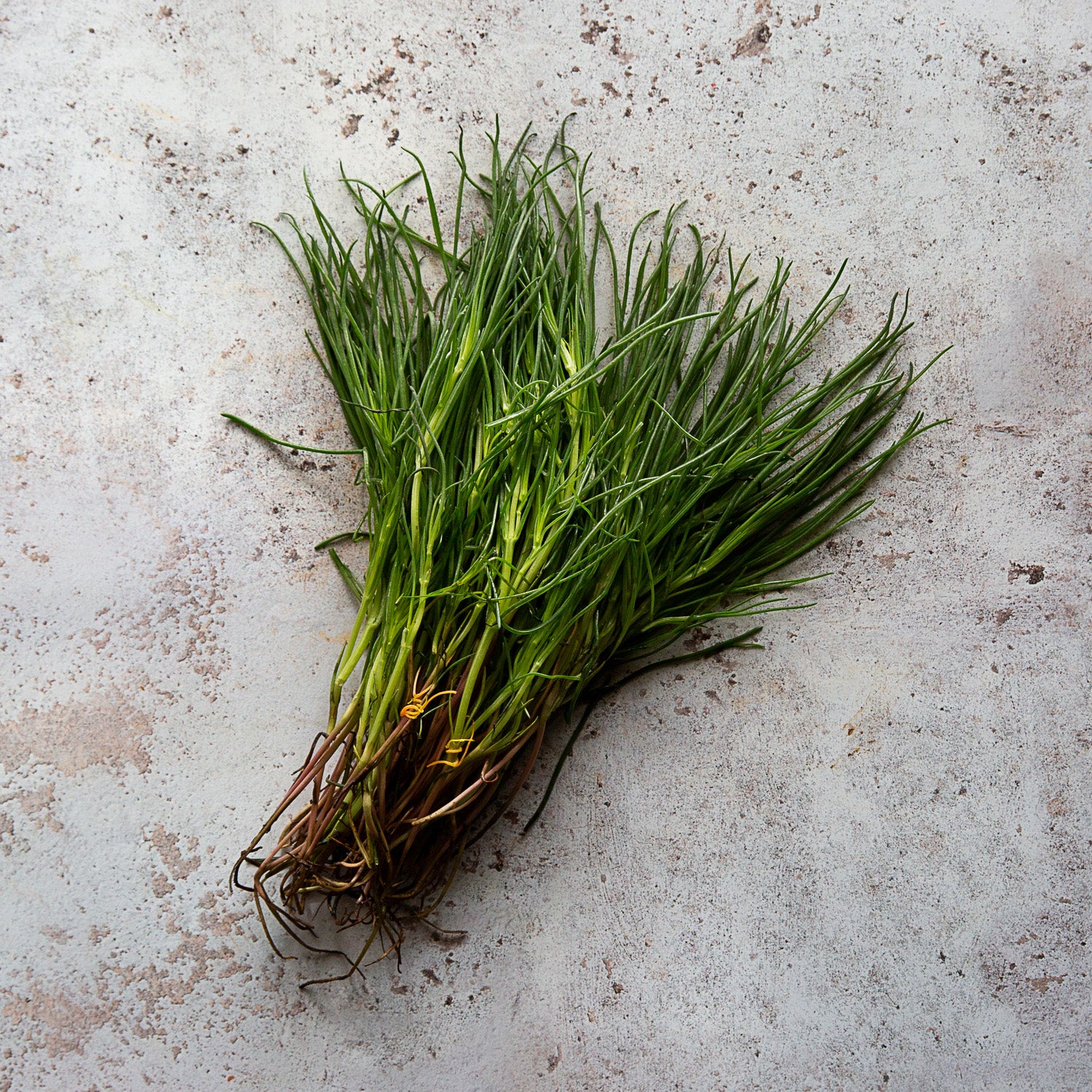 Fresh Italian Monk's Beard (Agretti) | Seasonal Spring Delicacy | FINE ...