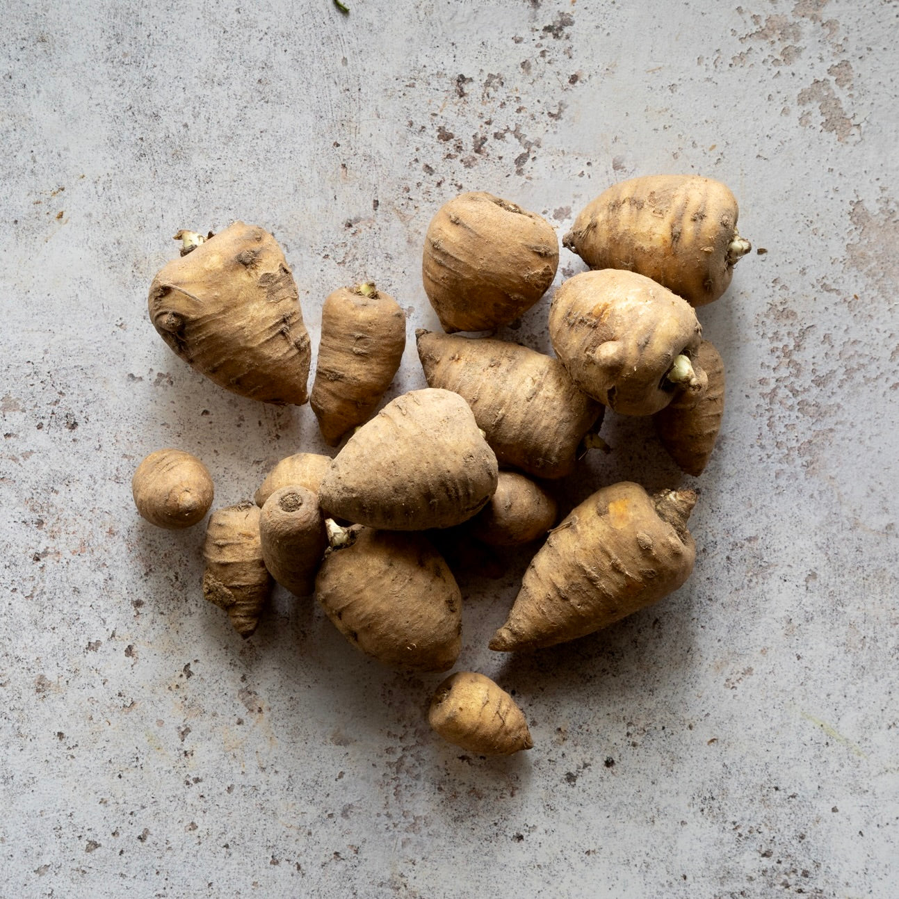 Fresh Chervil Root | Heritage Root Vegetables | FINE & WILD UK