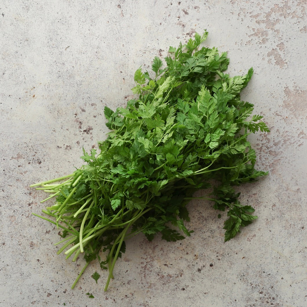 Fresh Chervil | Premium Fresh Herbs | FINE & WILD UK