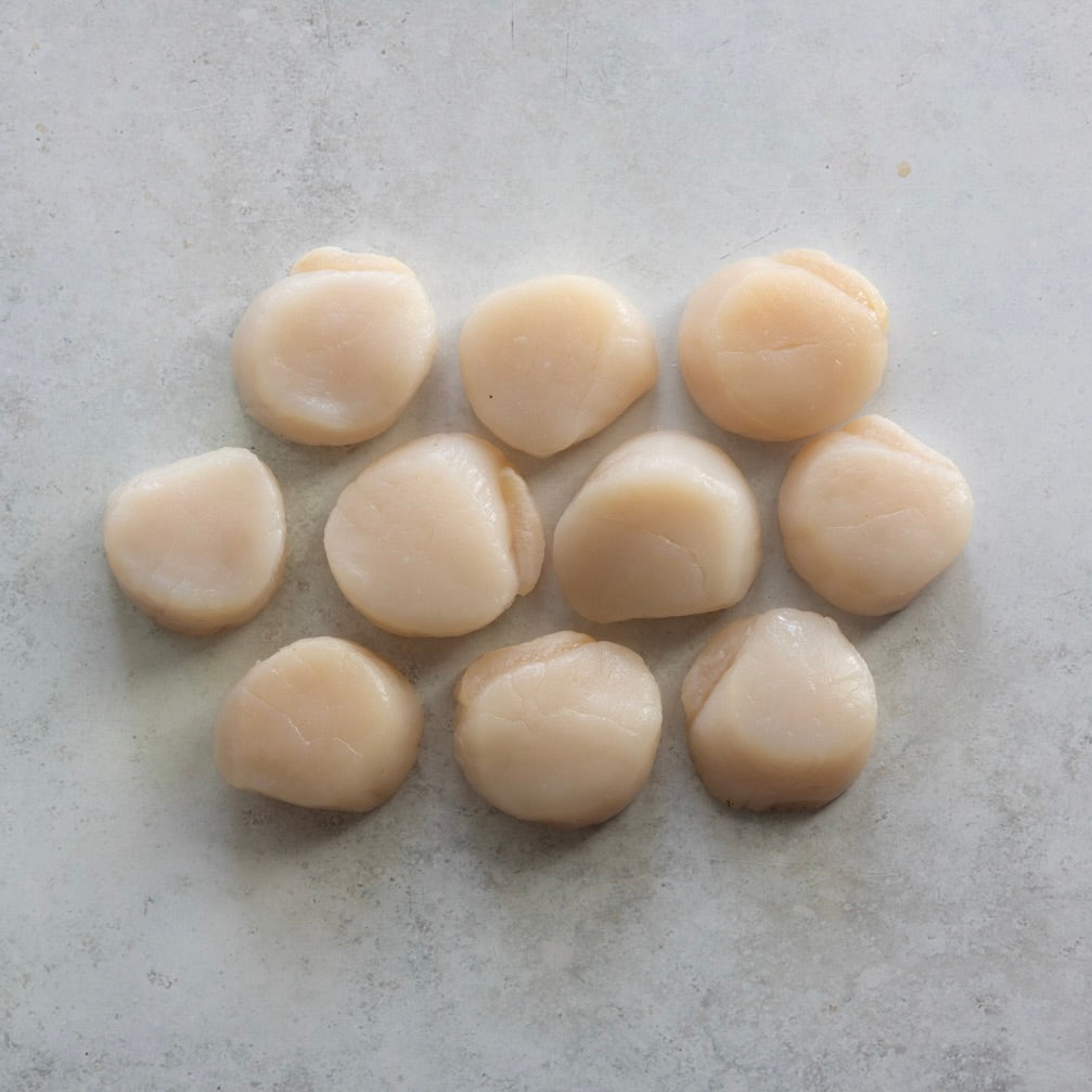 Fresh Coquilles Saint-Jacques | Premium Atlantic Scallops | FINE & WILD UK