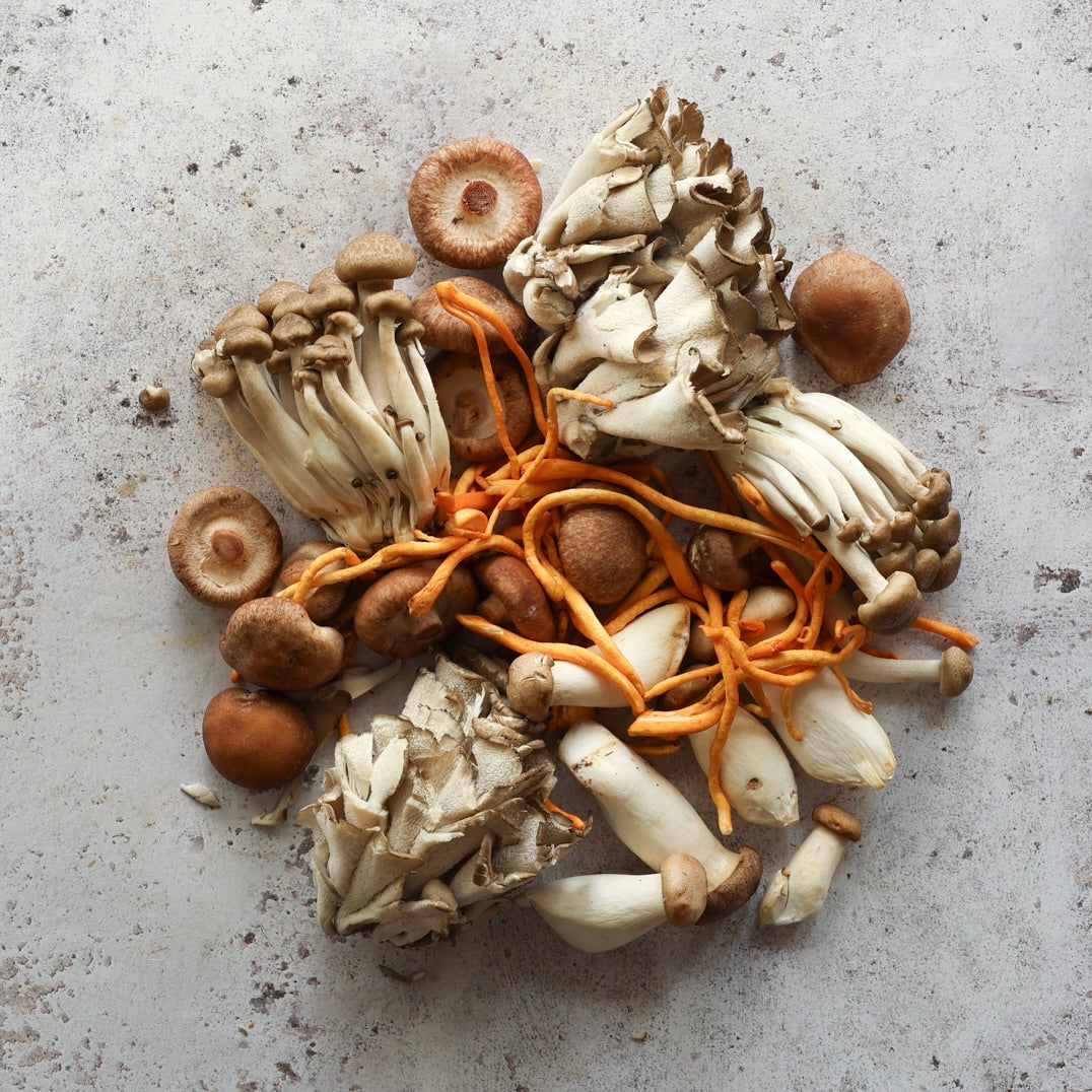 Fresh Exotic Mushroom Mix | Next Day Delivery | FINE & WILD UK