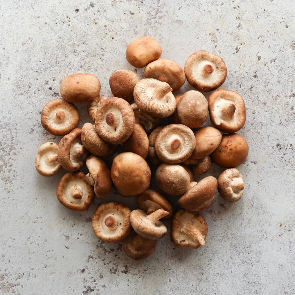 Fresh Baby Shiitake Mushrooms | FINE & WILD UK