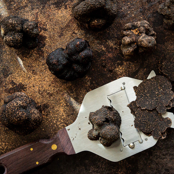 Buy High Quality Fresh Truffles | Buy Truffles Online | FINE & WILD UK