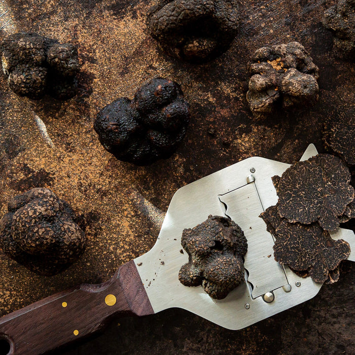 Fresh Autumn / Summer Truffles | Italian Truffles | FINE & WILD UK
