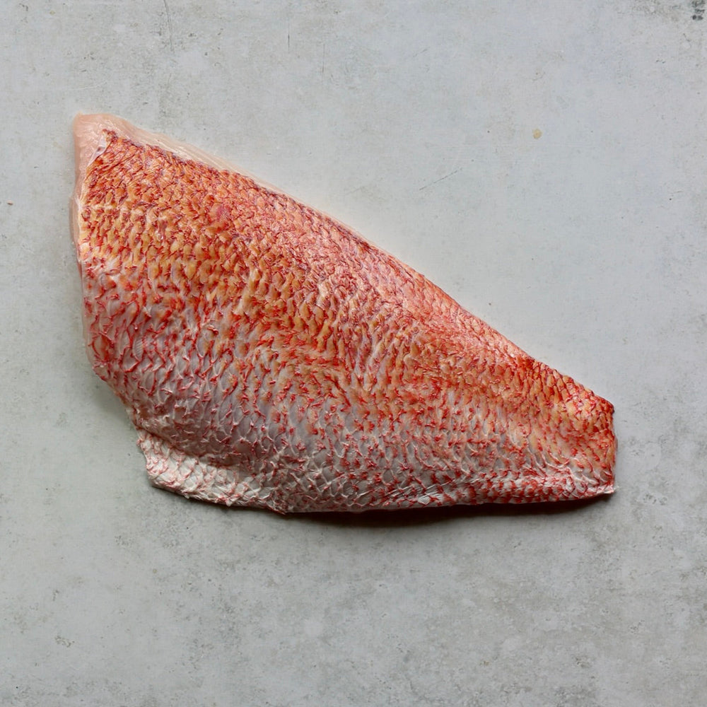 Red Snapper Fillet — Wild Gulf of Mexico | FINE & WILD