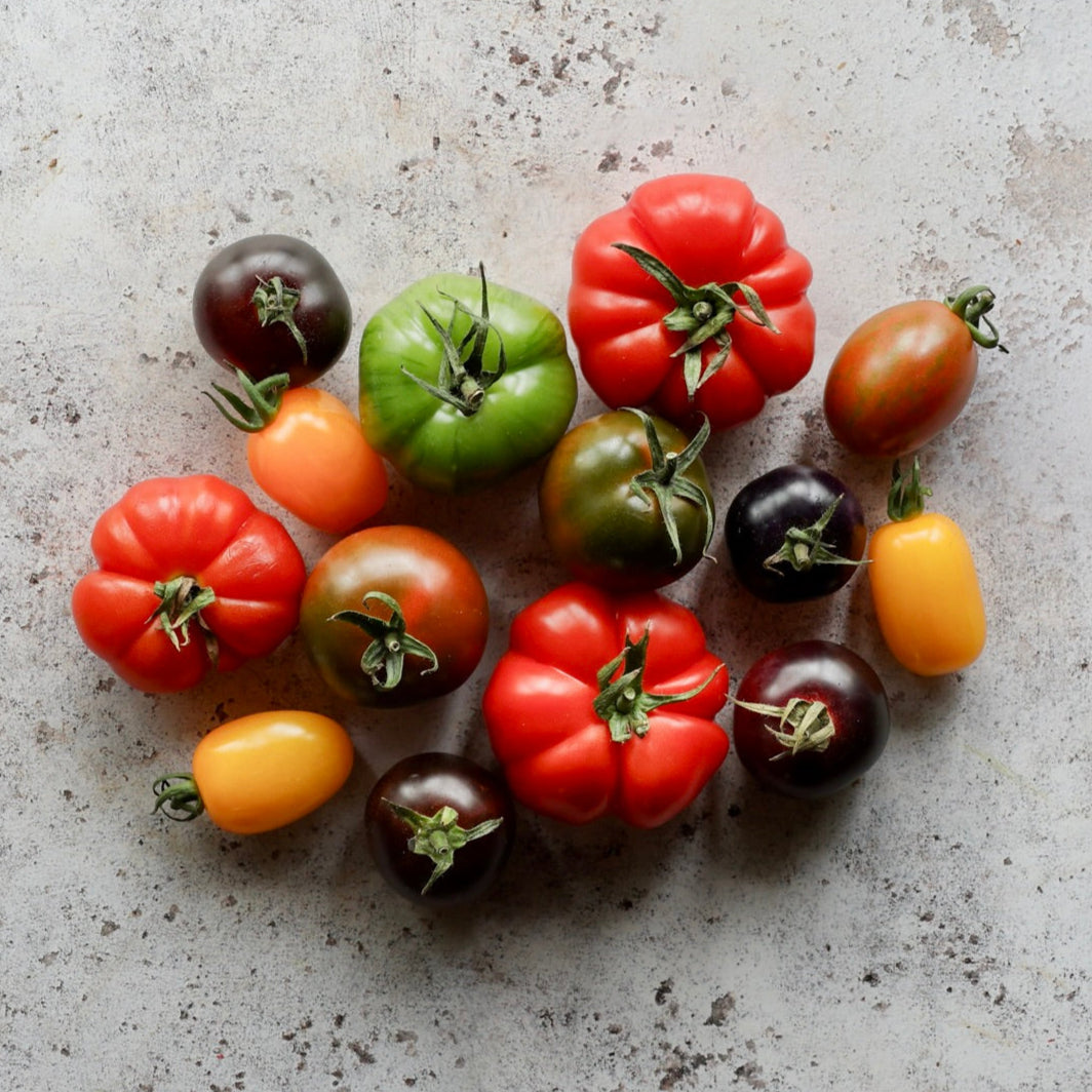 Premium Italian Baby Tomato Mix | Heritage Varieties | FINE & WILD UK