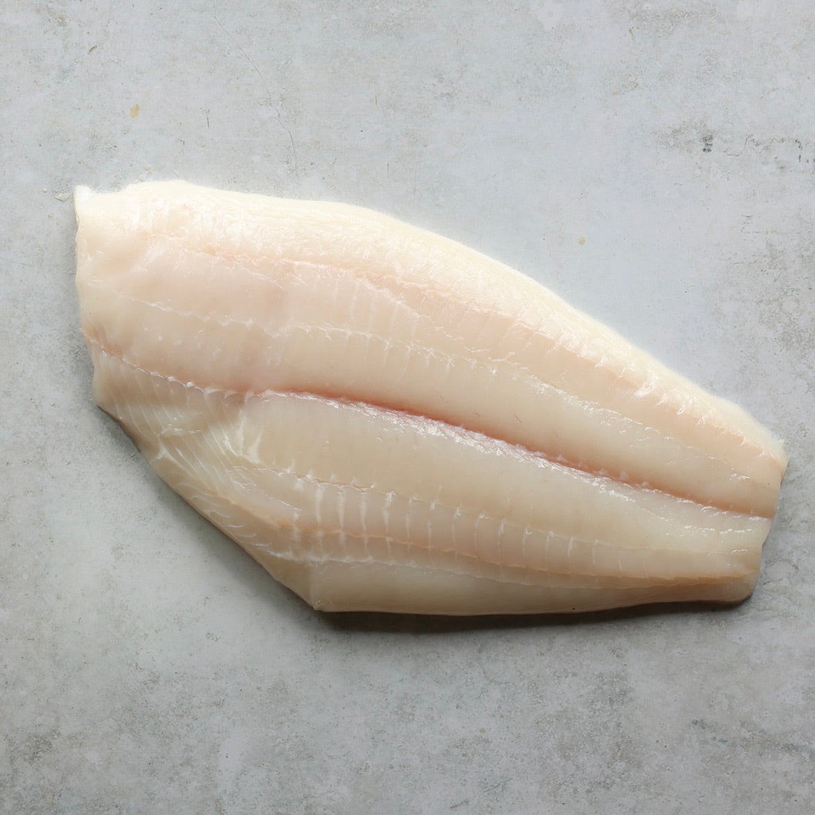 Spanish Halibut Fillets | Premium Farmed Fish | FINE & WILD UK