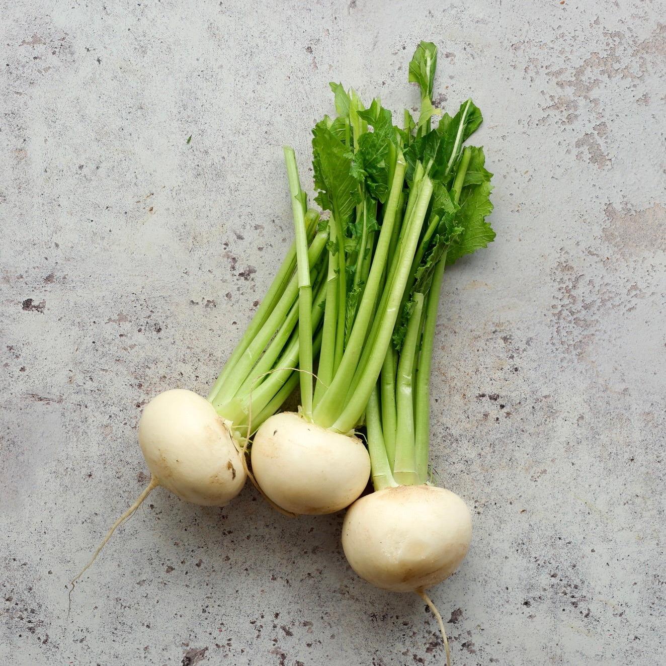 Tokyo Turnips | Japanese Baby Turnips | FINE & WILD UK