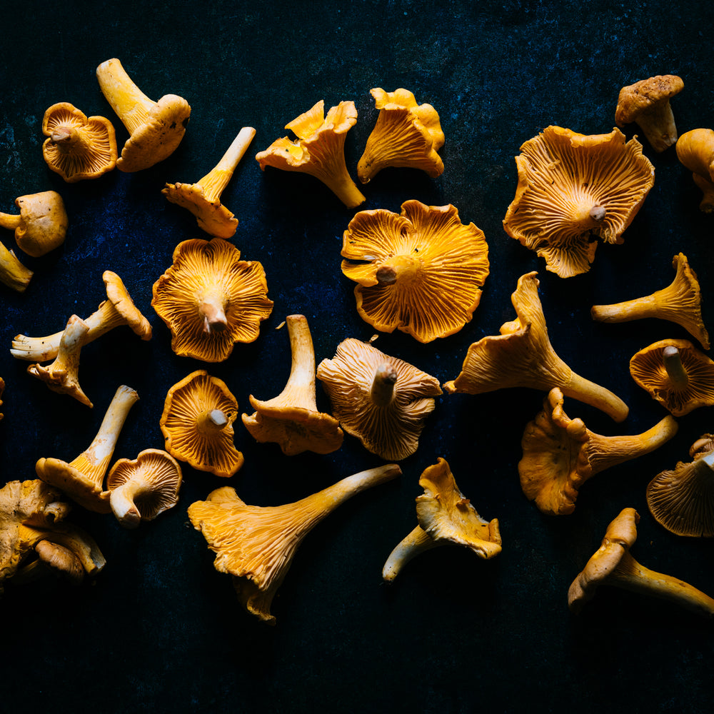 Wild Mushroom Guide: Cooking with Ceps, Morels, Trompettes & Girolles ...