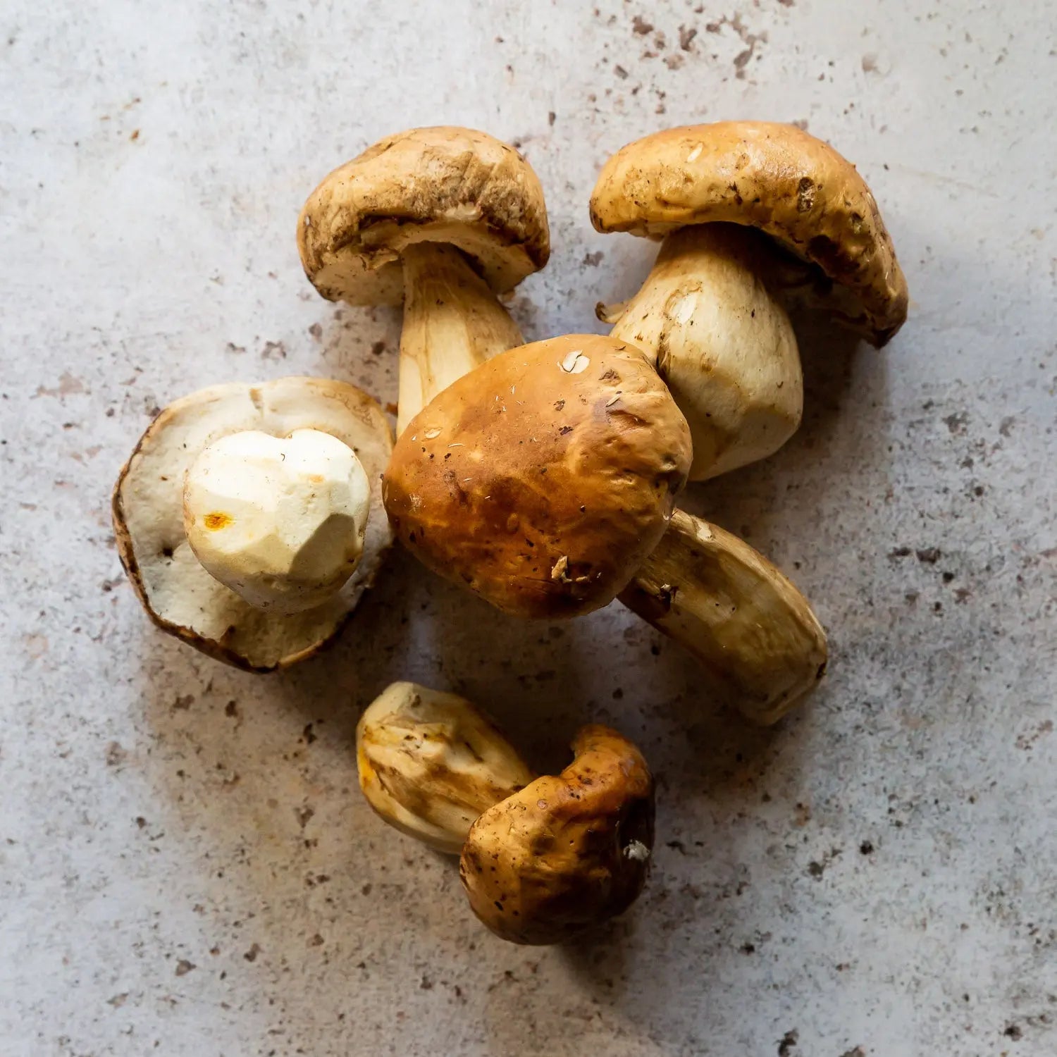BUY FRESH WILD MUSHROOMS | FINE & WILD UK