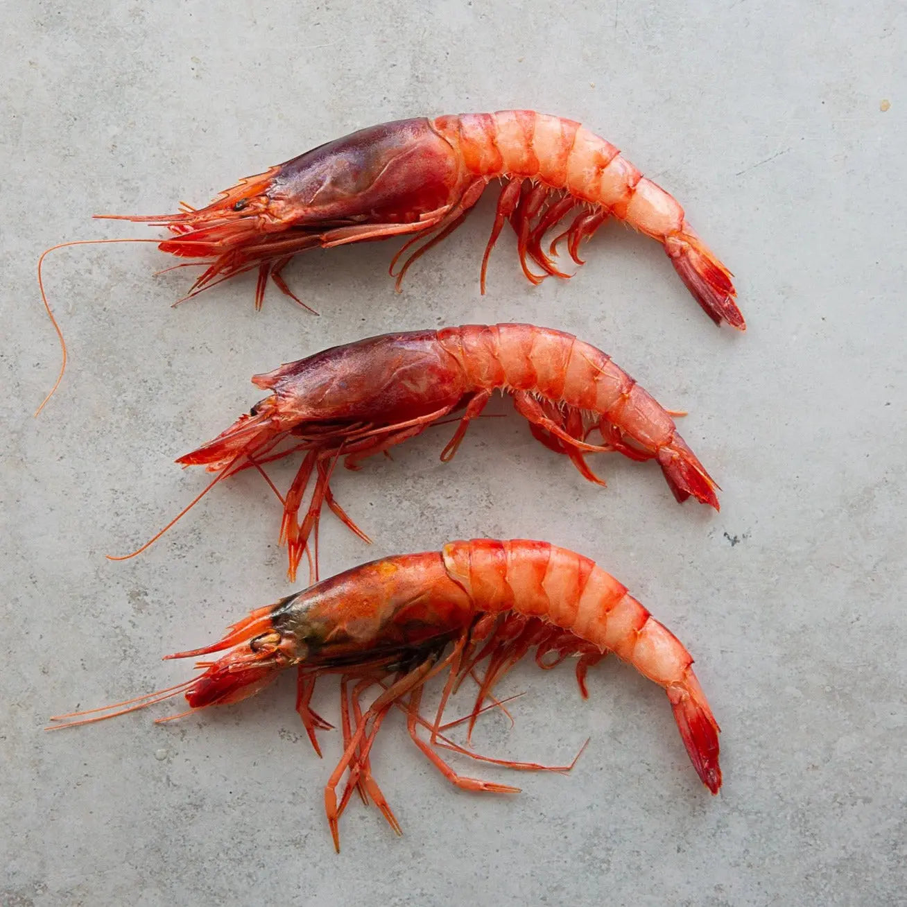Denia Red Prawns | Gambo Roja | FINE & WILD UK