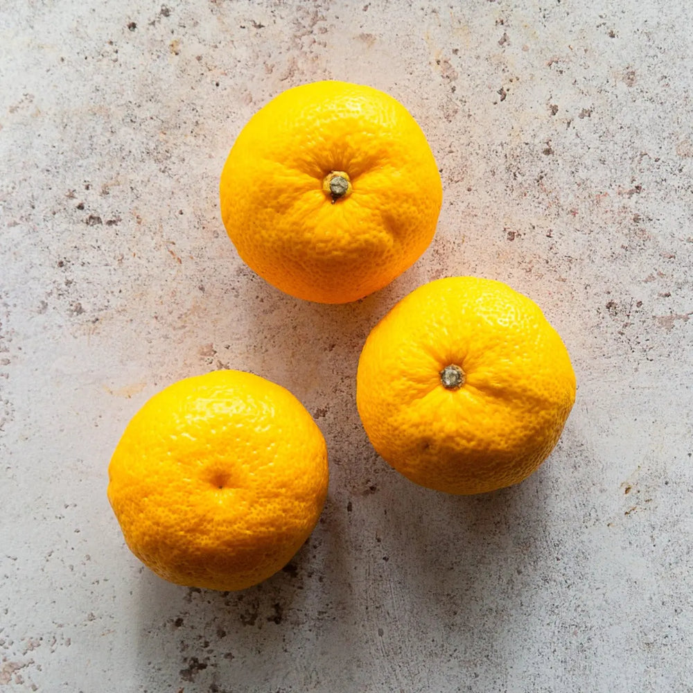 Buy Fresh Japanese Yuzu — Whole Fruit | FINE & WILD