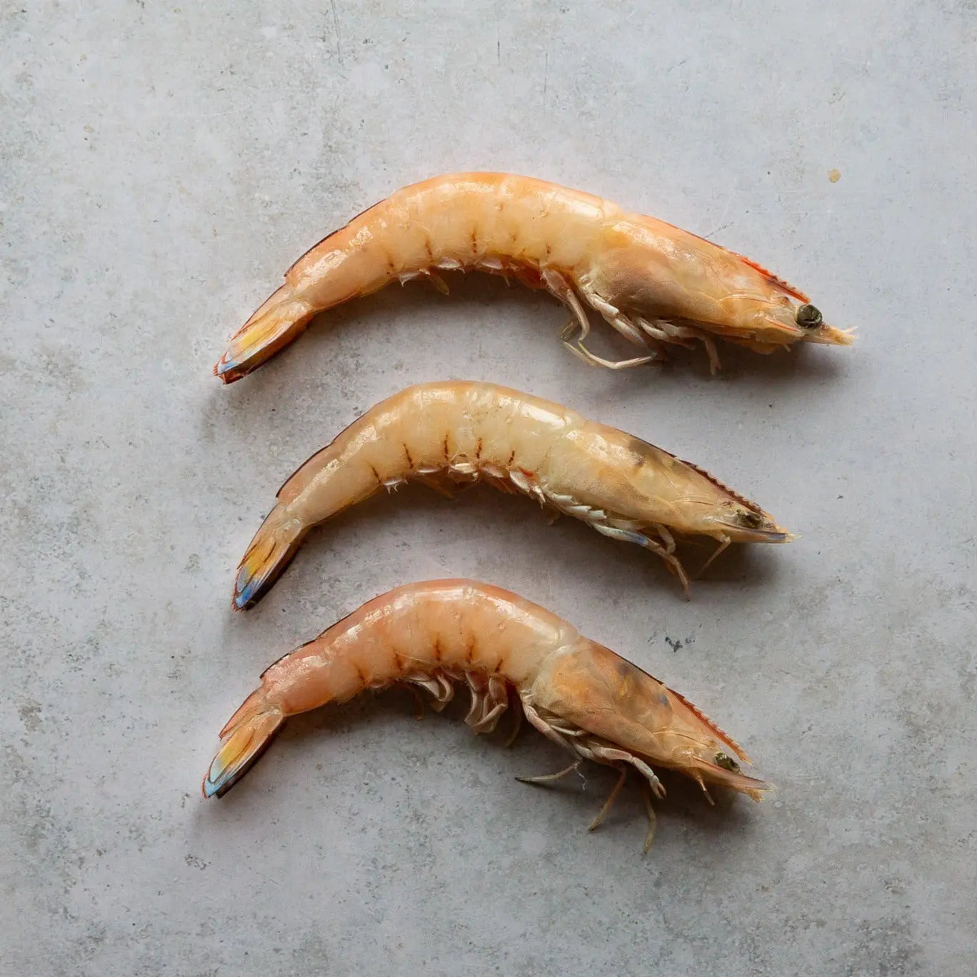 Wild Spencer Gulf King Prawns — Australian | FINE & WILD