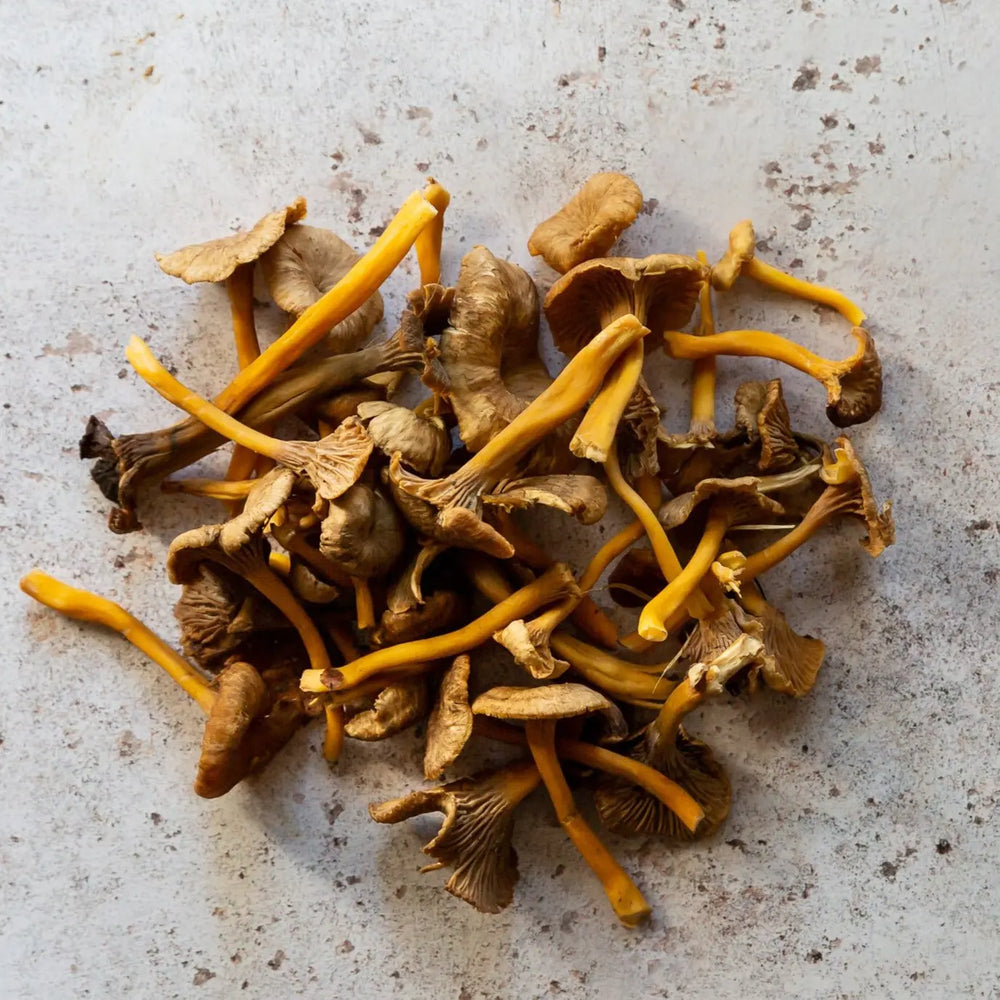 Fresh Girolle Mushrooms - Premium Chanterelles | FINE & WILD UK
