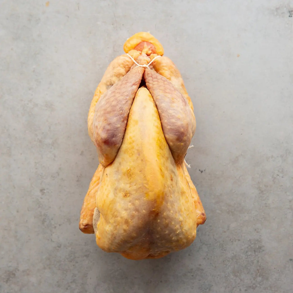 Poulet de Bresse AOC | Premium French Chicken | FINE & WILD UK