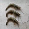 Obsiblue Prawns | Sashimi Grade Blue Prawns | FINE & WILD UK
