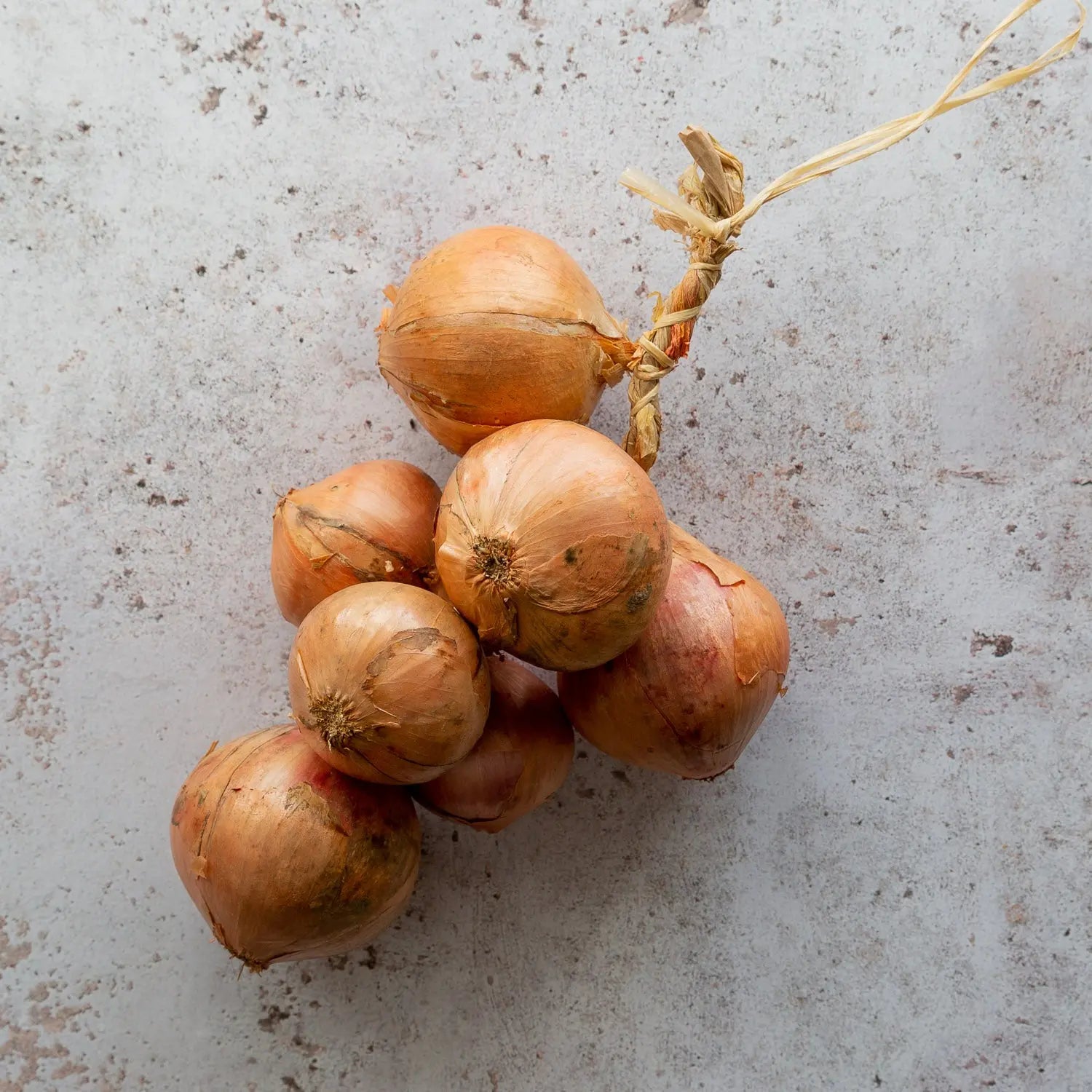 Roscoff Onions AOC | Premium Pink Brittany Onions | FINE & WILD UK