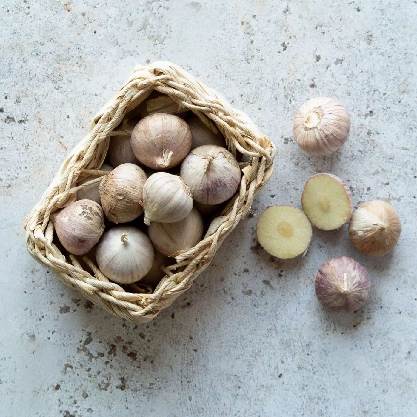 SINGE CLOVE GARLIC | SOLO GARLIC | FINE & WILD UK